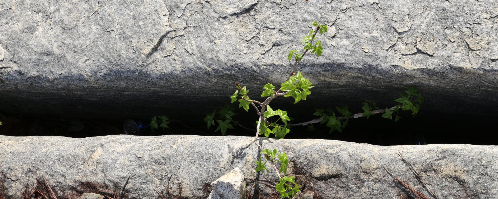 Why natural stone? / silvercloudquarry.com